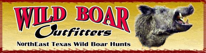 Wild Boar Outfitters hog hunting page